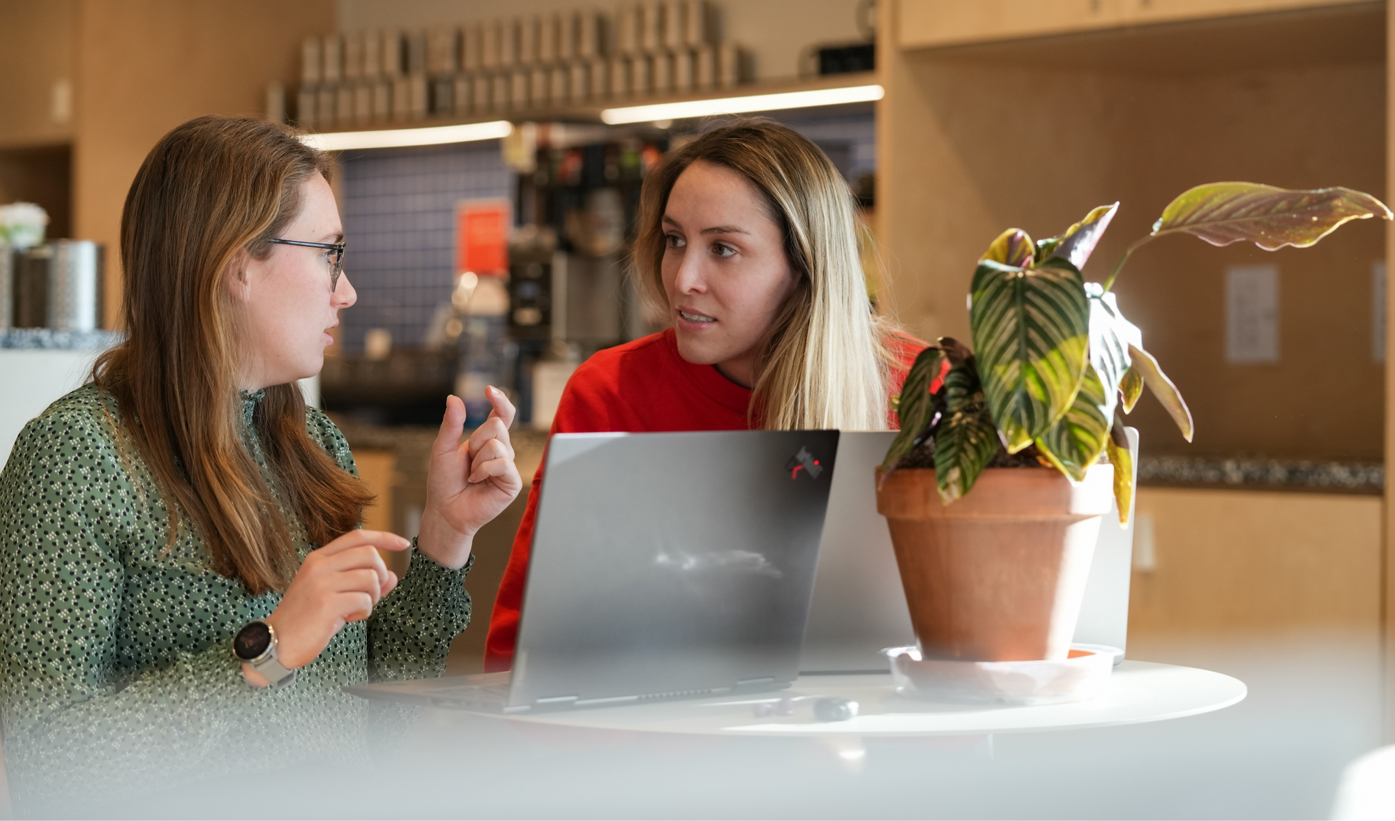 Join Loop | Marketing – Loop Earplugs